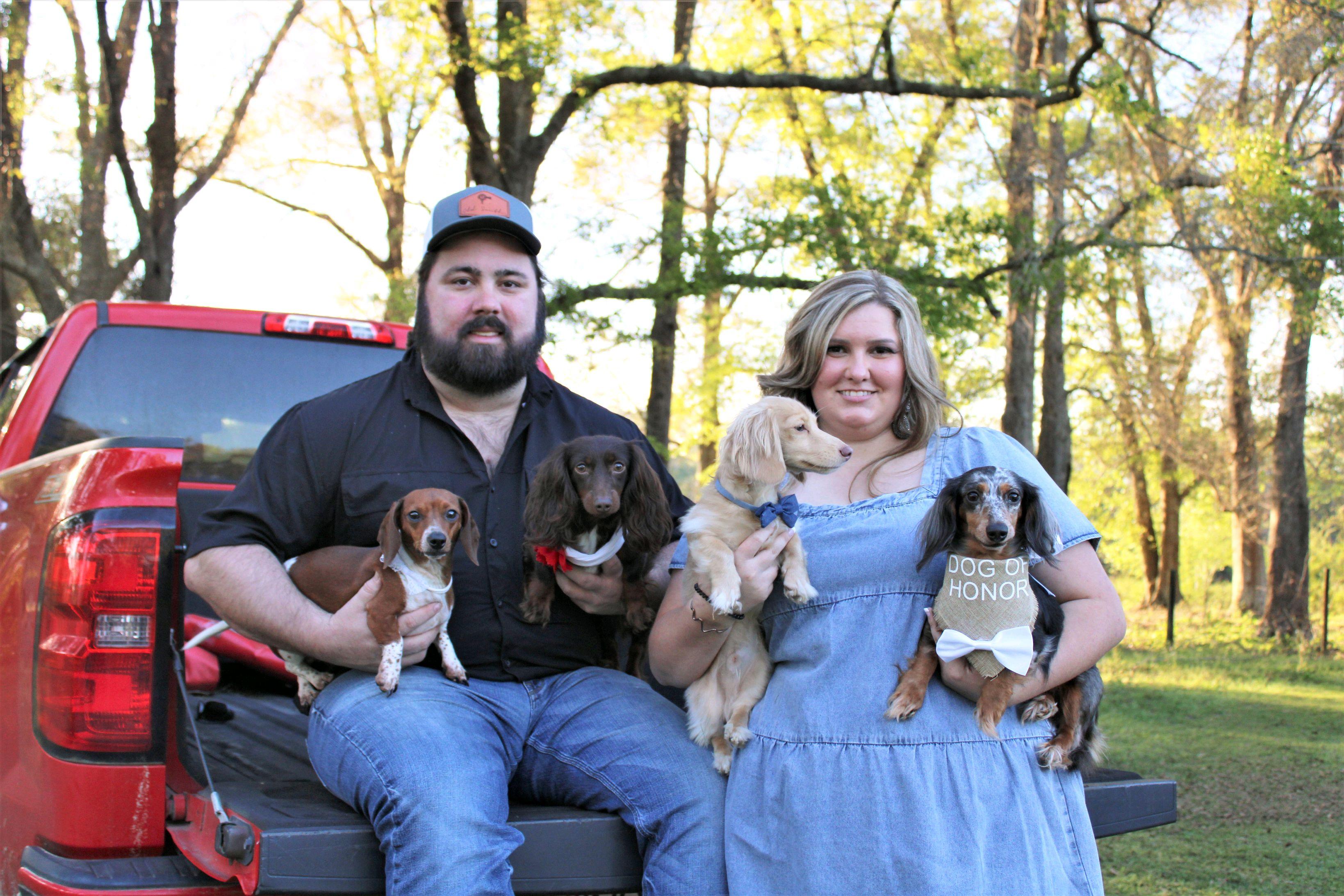 Conger's Lil Smokies in Georgia | Dachshund puppies | Good Dog