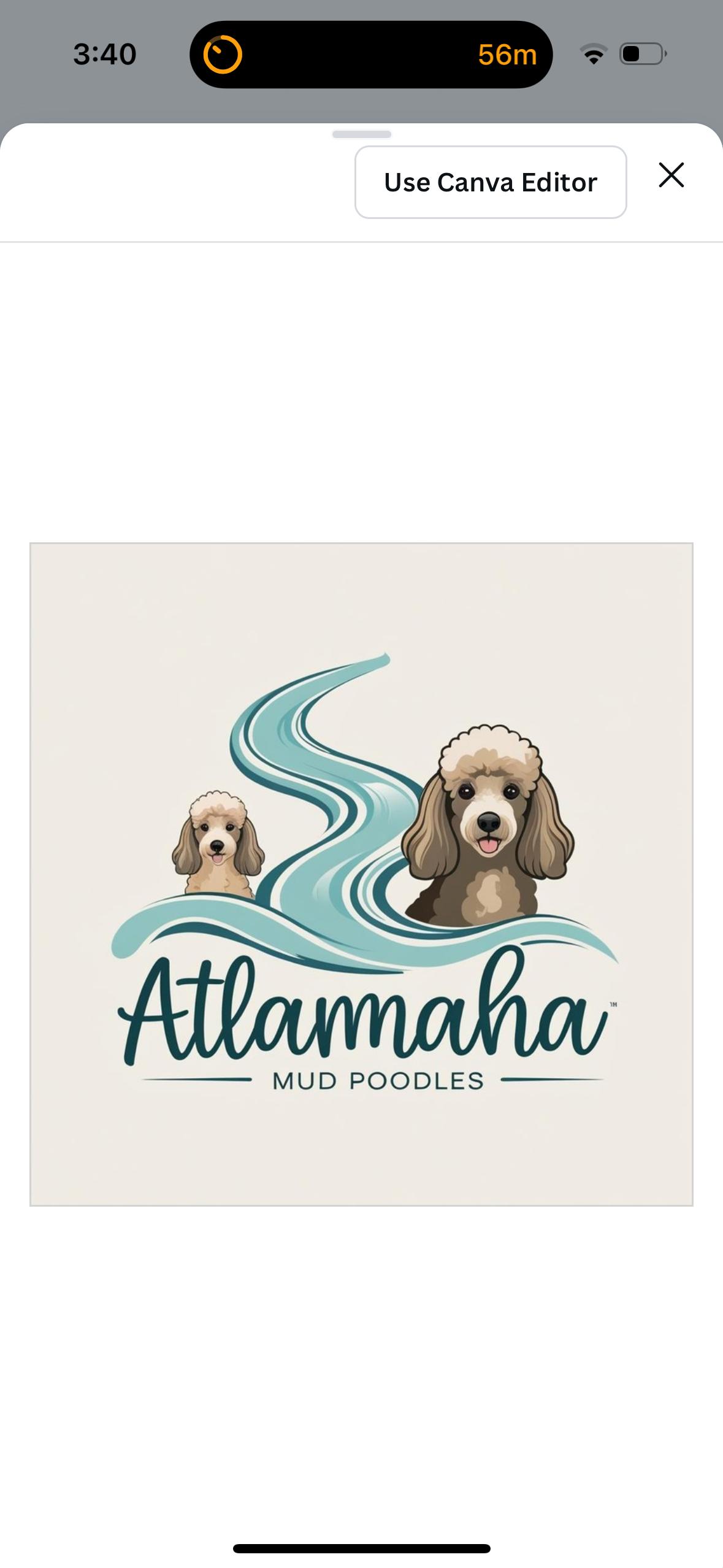 Altamaha Mud Poodles LLC. in Georgia | Poodle puppies | Good Dog